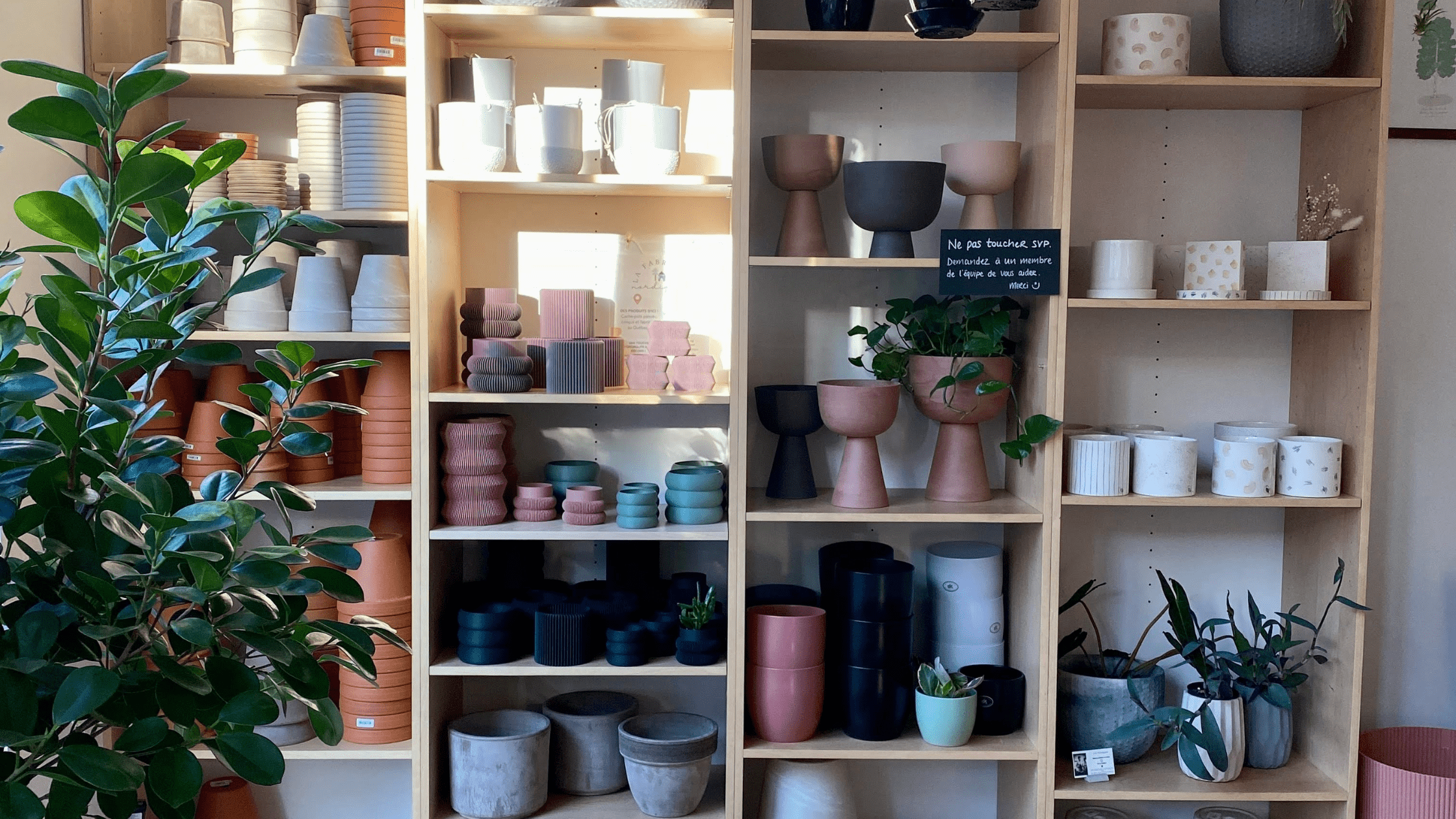 Comment choisir le bon type de pot pour le rempotage de vos plantes ...