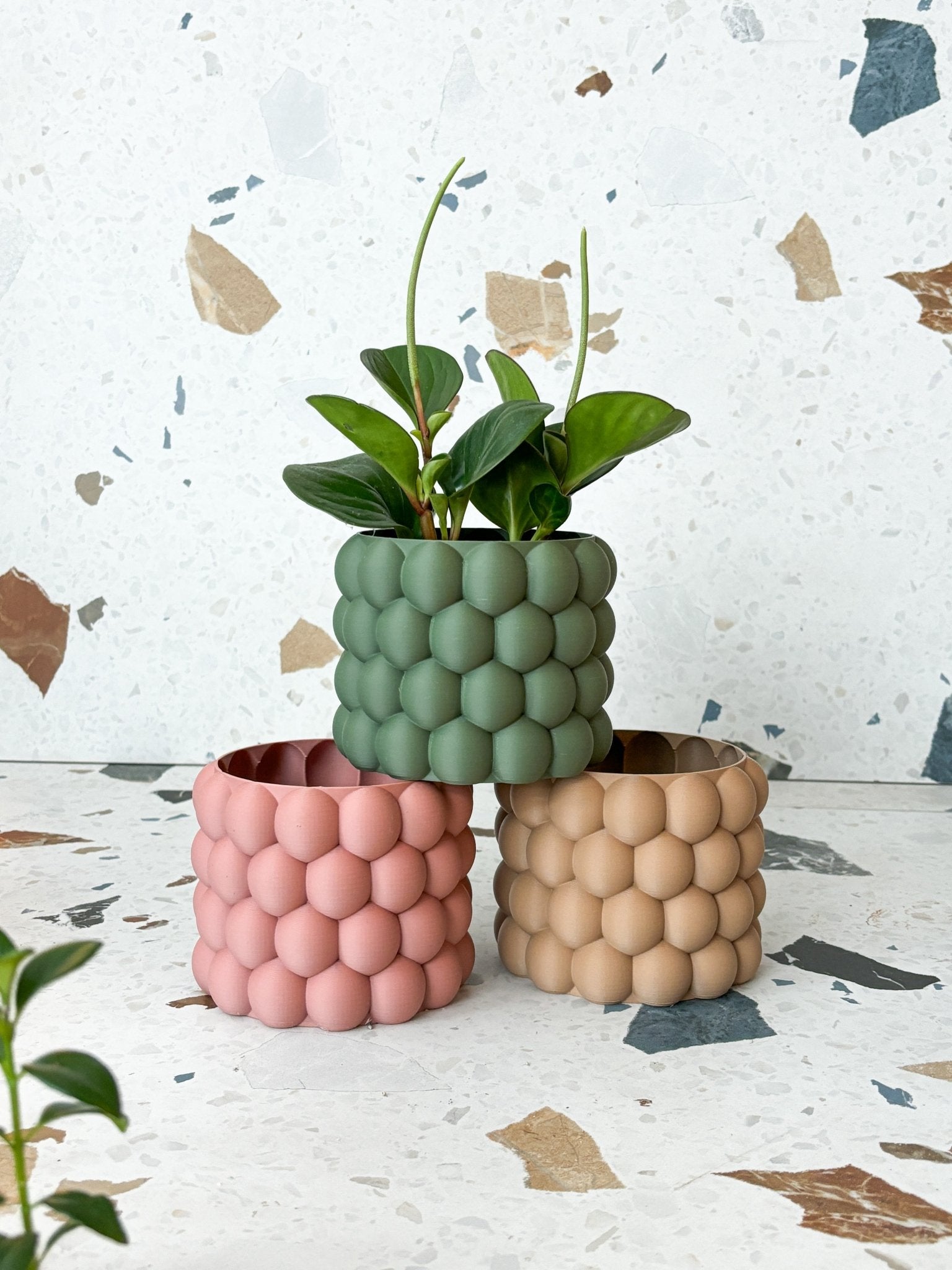 Cache pot "L'Éclaté" – Alma Plantes